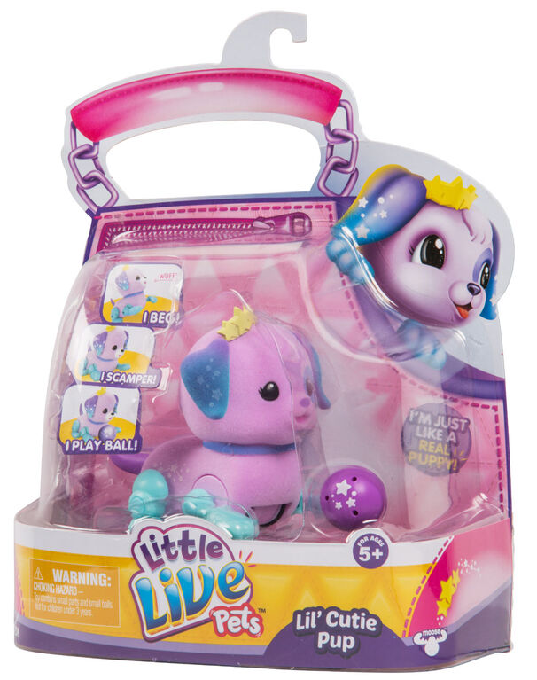 Lil' Cutie Pup - Star Paws | Toys R Us Canada