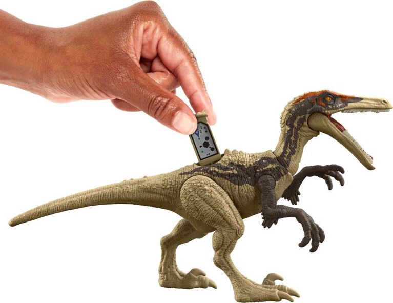Jurassic World Danger Pack Austroraptor | Toys R Us Canada