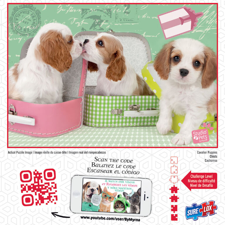 Casse-têtes de 500 morceaux, Animaux domestiques de Sure-Lox | Toys R ...
