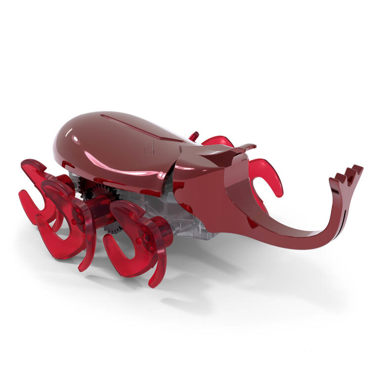 HEXBUG Beetle, rouge | Toys R Us Canada