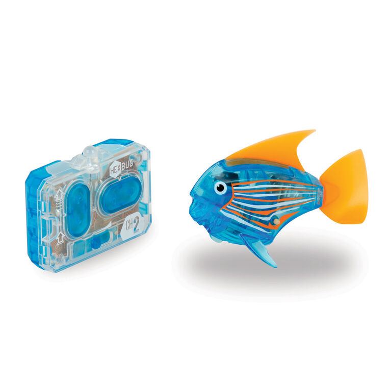 HEXBUG Remote Control Angelfish - Blue | Toys R Us Canada