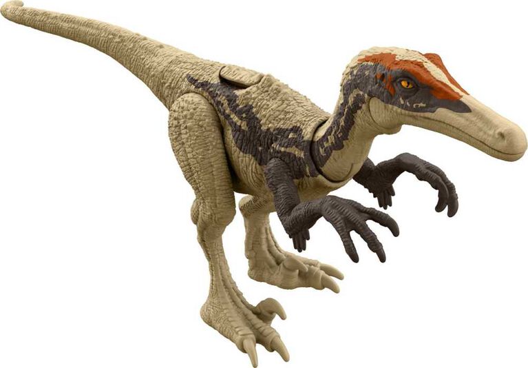 Jurassic World Danger Pack Austroraptor | Toys R Us Canada