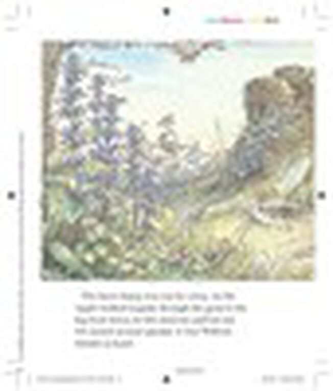 The Complete Brambly Hedge - English Edition | Toys R Us Canada