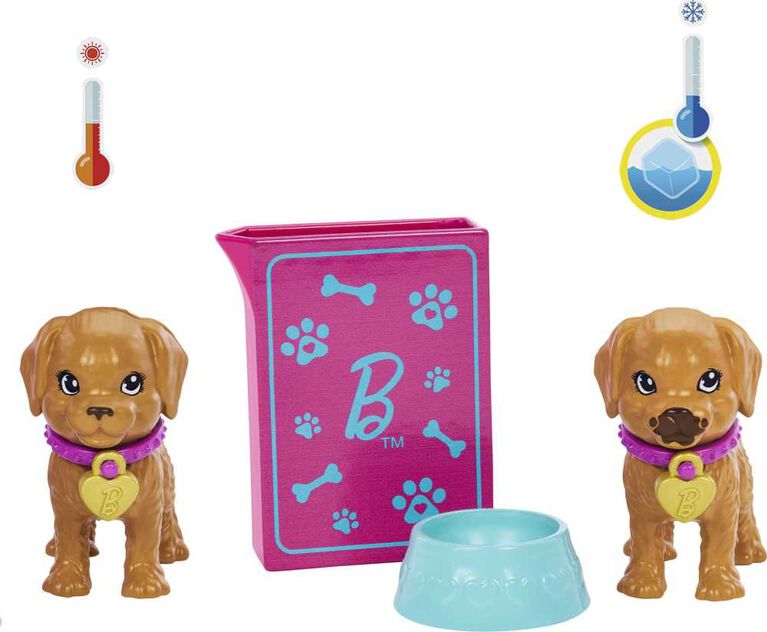 Barbie Doll and Accessories Pup Adoption Playset with Doll, 2 Puppies ...