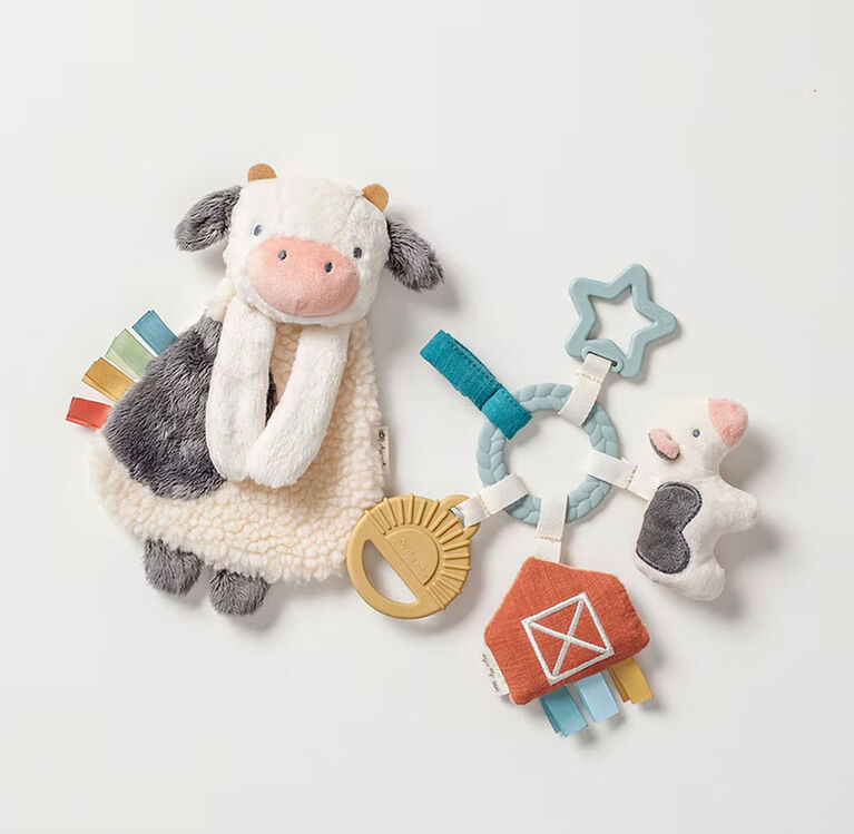 Bitzy Busy Gift Set Activity Toys Farm | Babies R Us Canada