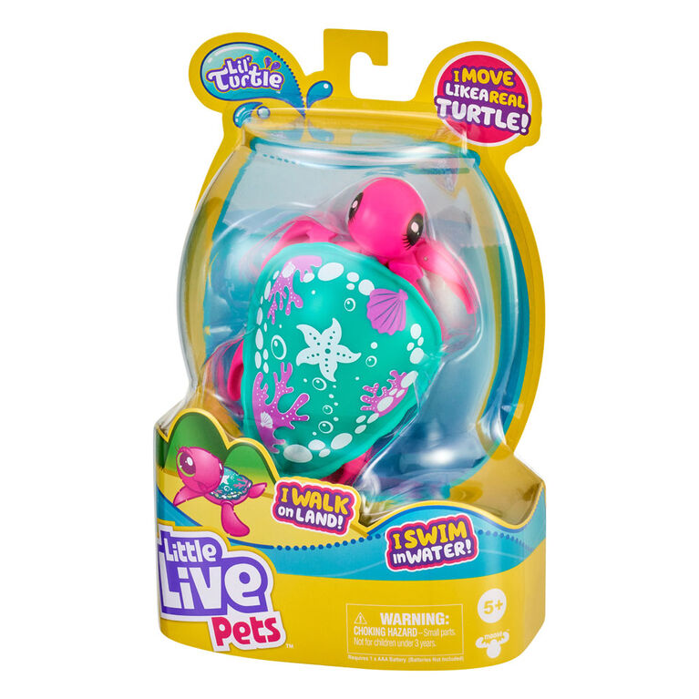 Little Live Pets - Lil' Turtle S8 Single Pack - Seashore | Toys R Us Canada