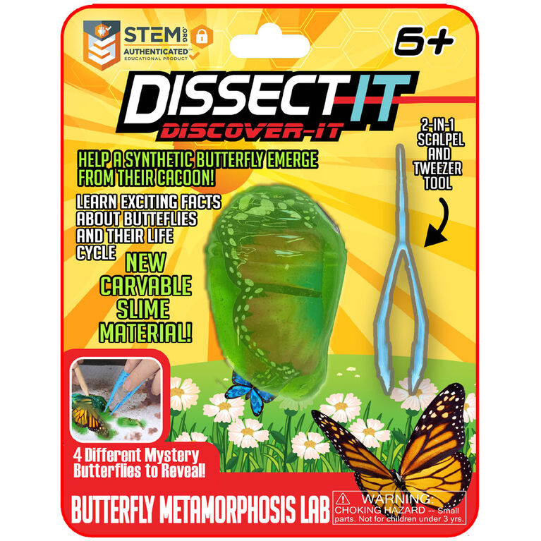 Dissect It - Discover It - Butterfly Metamorphosis Lab | Toys R Us Canada