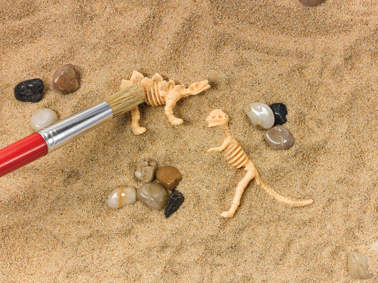 Sensory Bin Dinosaur Dig - English Edition | Toys R Us Canada