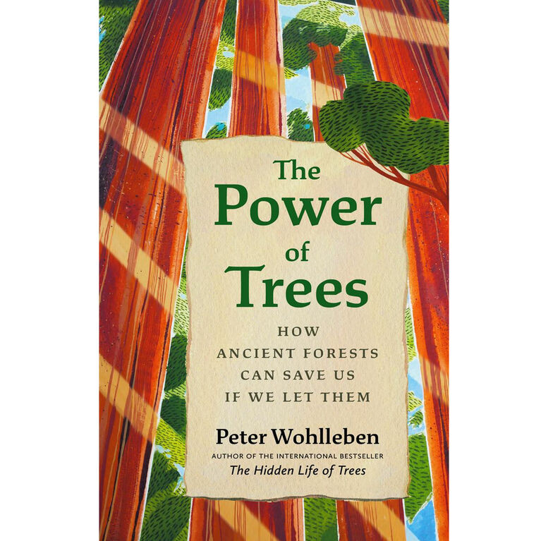 The Power of Trees: How Ancient Forests Can Save Us if We Let Them ...