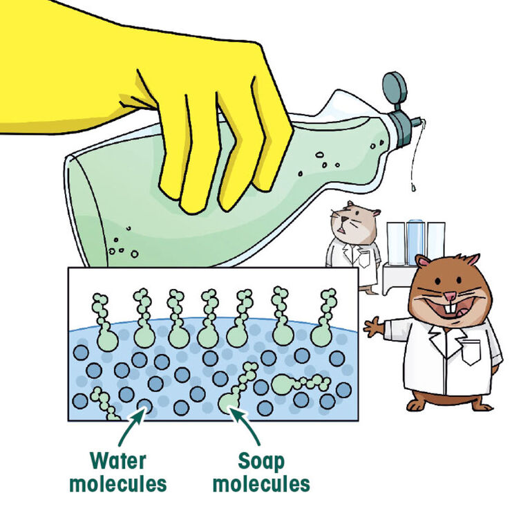 SmartLab Tiny Science! - English Edition | Toys R Us Canada