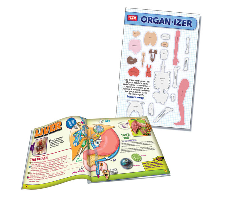 SmartLab Squishy Human Body - Édition anglaise | Toys R Us Canada