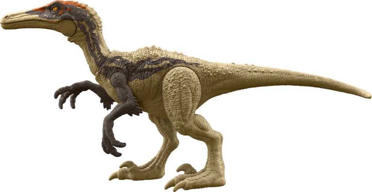Jurassic World Danger Pack Austroraptor | Toys R Us Canada