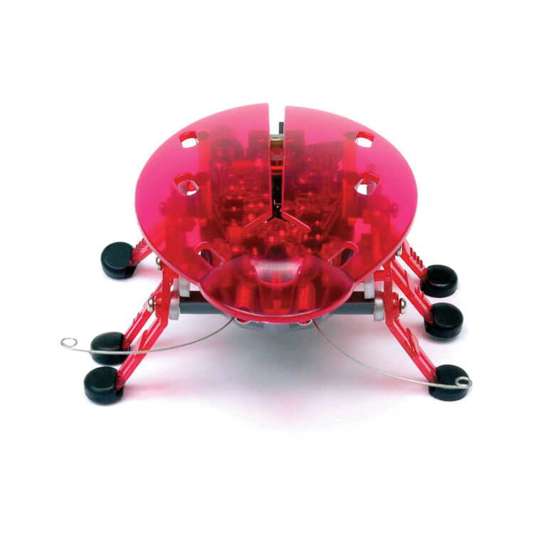HEXBUG Beetle - Red | Toys R Us Canada