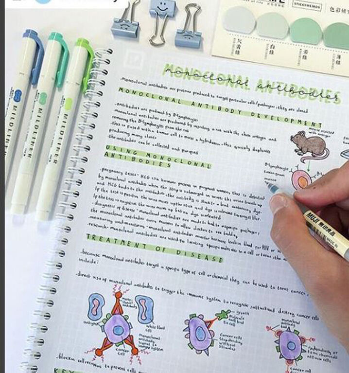 Zebra Mildliner 5 Pack Fluroscents | Toys R Us Canada