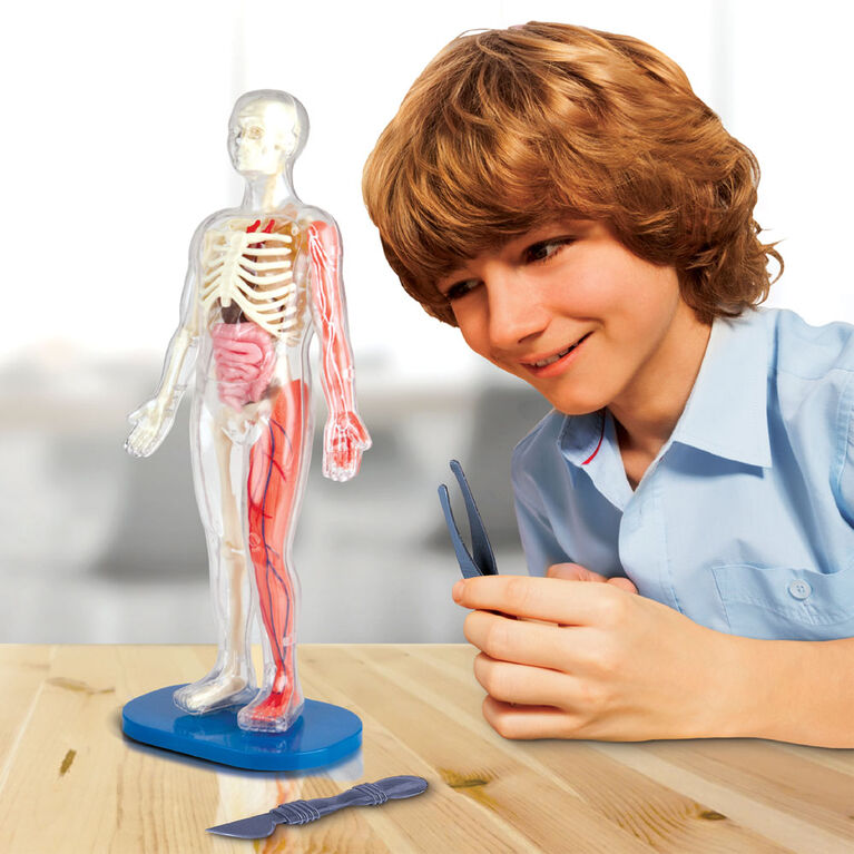 SmartLab Squishy Human Body - Édition anglaise | Toys R Us Canada