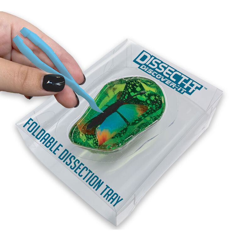 Dissect It - Discover It - Butterfly Metamorphosis Lab | Toys R Us Canada