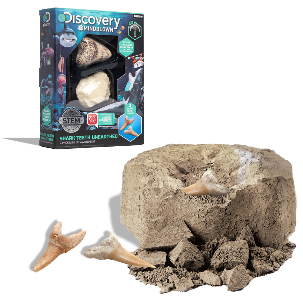 Toy Excavation Kit Mini Shark Tooth 2pc | Toys R Us Canada