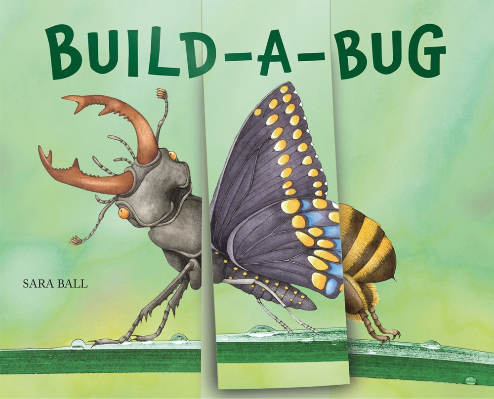Build-a-Bug - English Edition | Toys R Us Canada