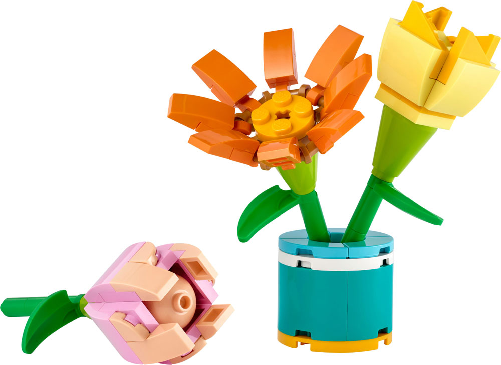LEGO Friends Friendship Flowers 30634 | Toys R Us Canada