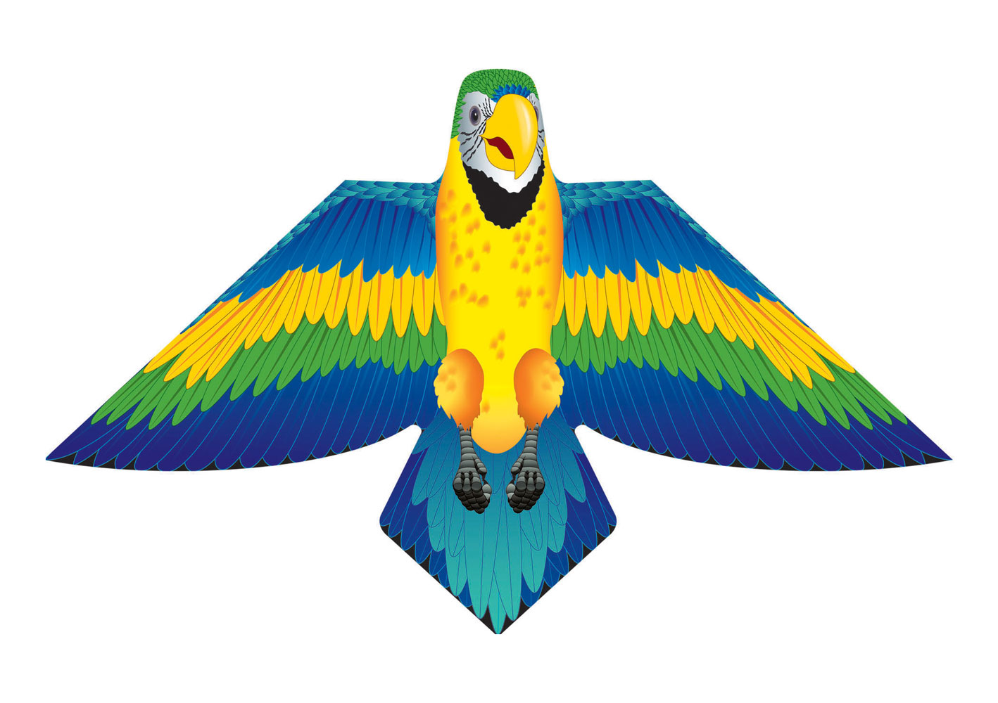Birds Of A Feather Red Parrot Kite | Toys R Us Canada