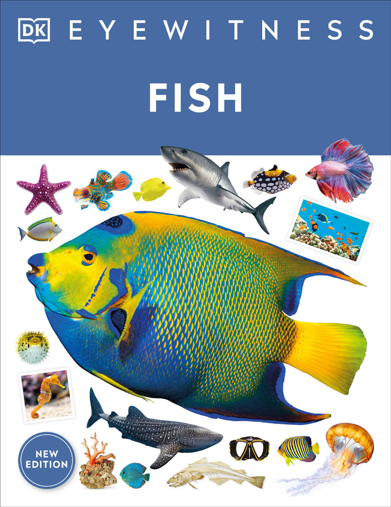 Fish - English Edition | Toys R Us Canada