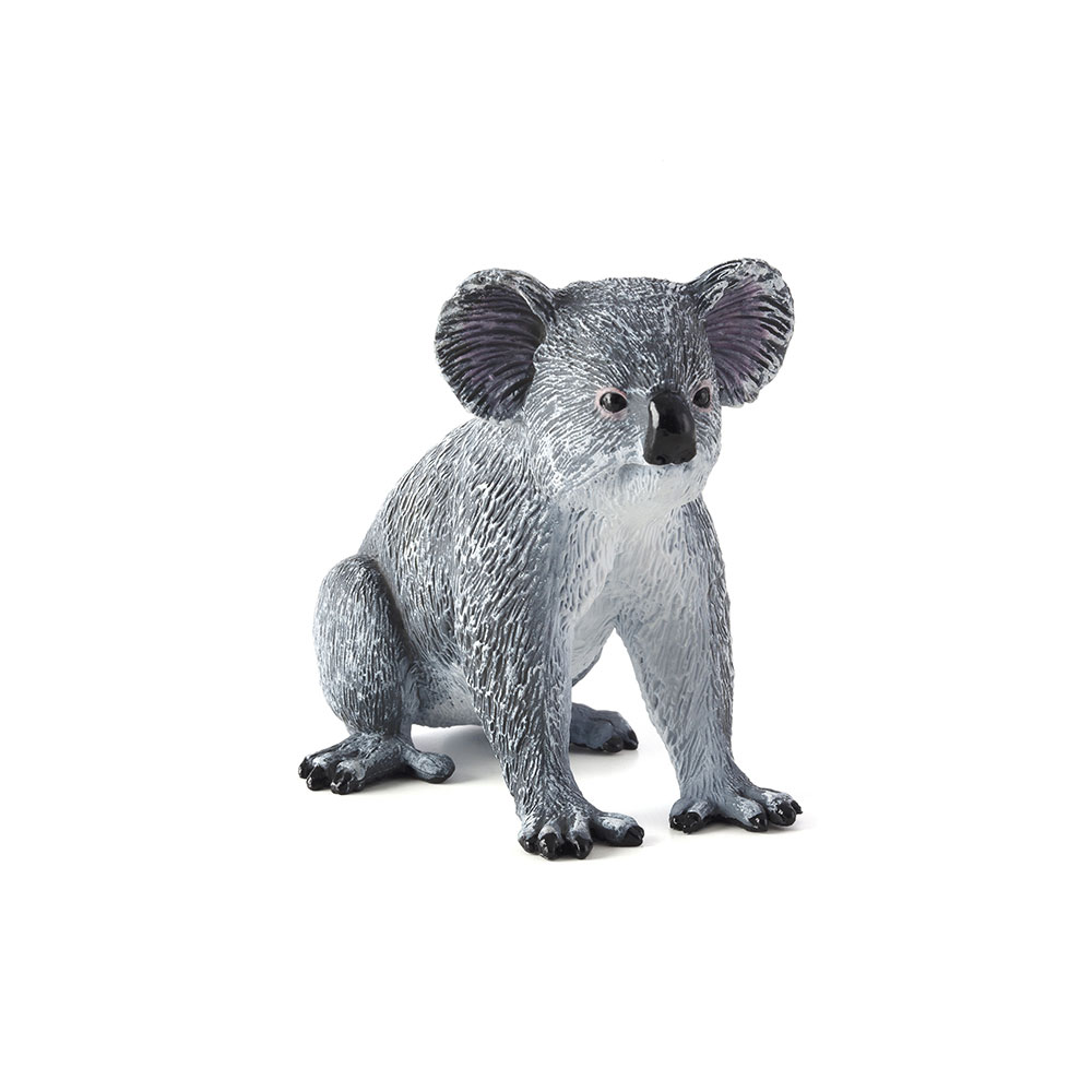 ALEX - Koala Bear - Medium | Toys R Us Canada